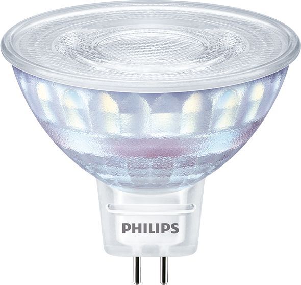 Philips Master LED-lamp - 30744500 | Tameson.fr